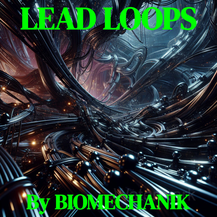 LEAD LOOPS | Biomechanik Structures Records/Asiel Records