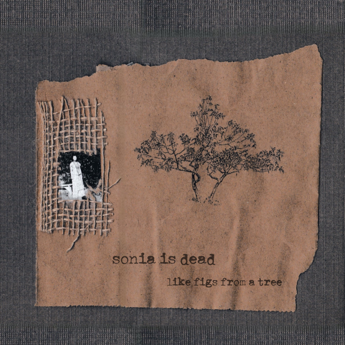 like figs from a tree | sonia is dead