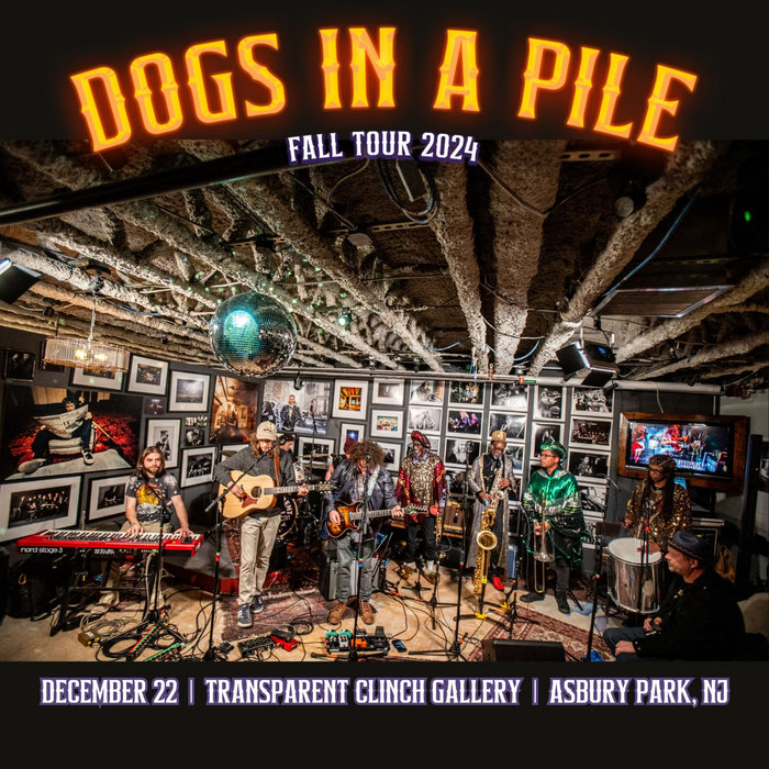 12/22/24 - Transparent Clinch Gallery - Asbury Park, NJ | Dogs In A Pile