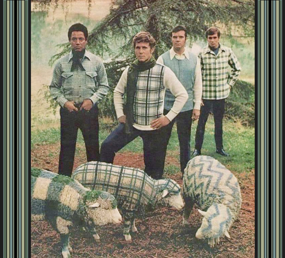 Sheep in Wolves' Clothing | Sheep in Wolves' Clothing