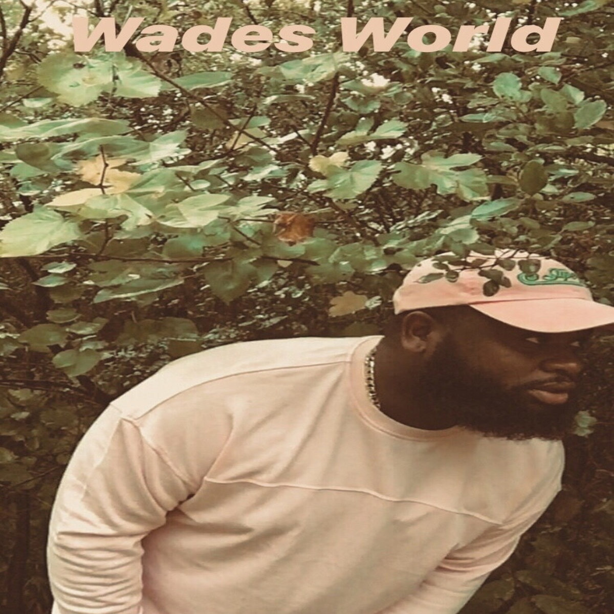 Wades World | Wade