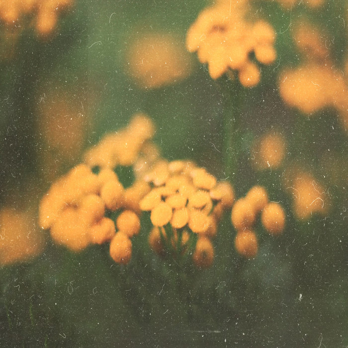 Flowers And Birds | Inner Shine | Aether Gaze
