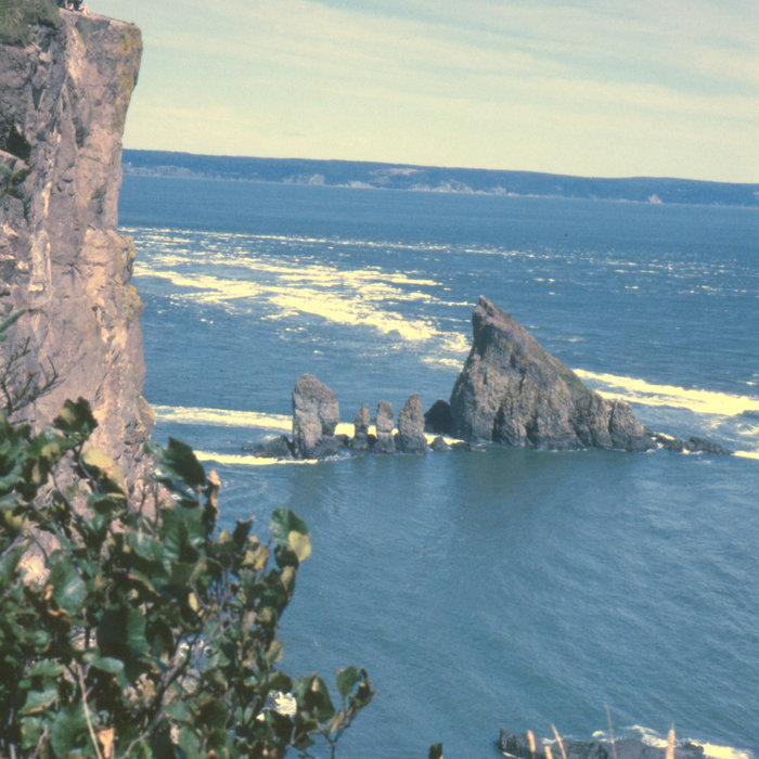 Sputtering Muttering | Daniel Mattison