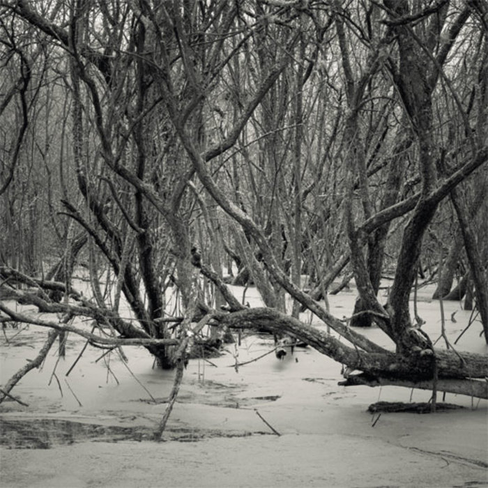 Cold and Distant, Not Loving | Kerouac | Tangled Talk Records