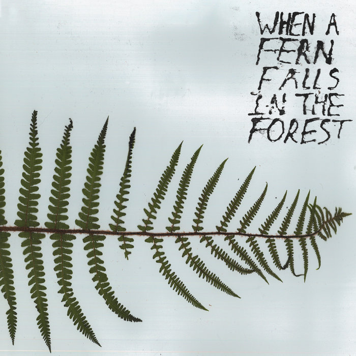 When A Fern Falls in the Forest | FERNS