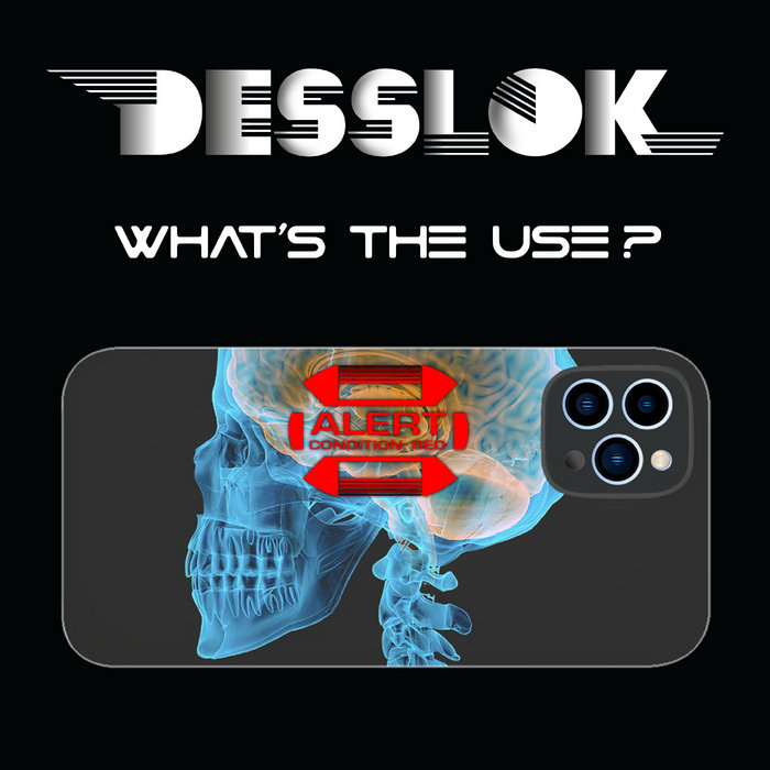 What's The Use? | Desslok