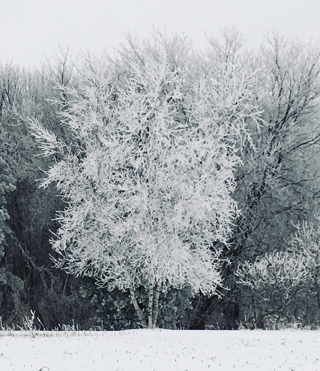 Singles | Joshua Gordon