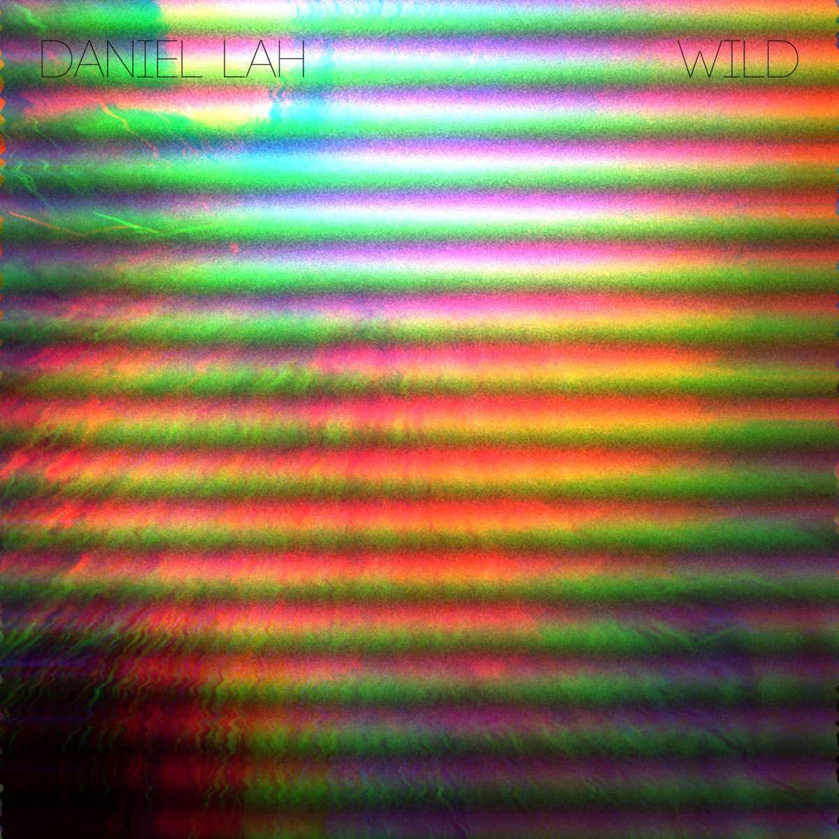Wild | Daniel Lah