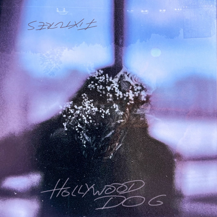 Hollywood Dog | Fixtures | Bobo Integral