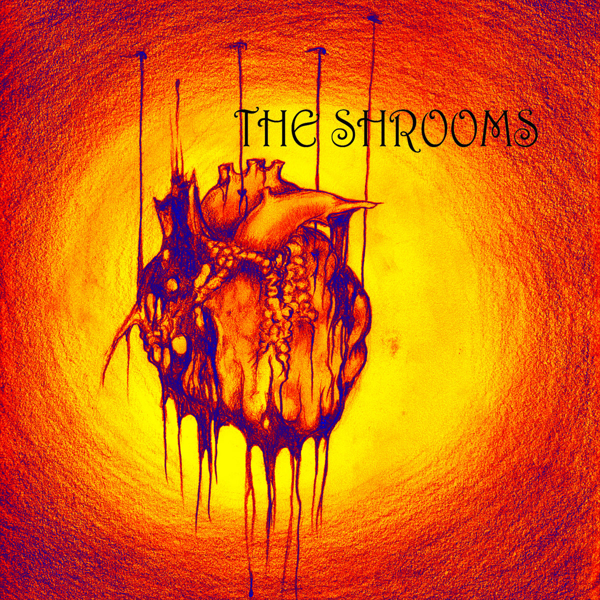 The Shrooms | The Shrooms