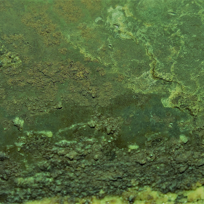 In Rust, We Trust | Comedown