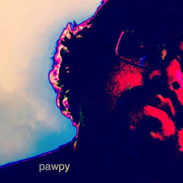 pawpy | Pawpy