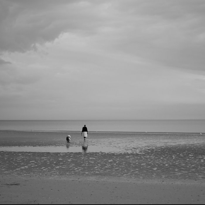 Maybe It's Because | Johnny Hodgson