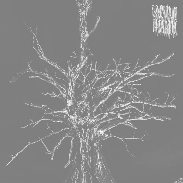 Vast Formless Things | Grey True Phosphene