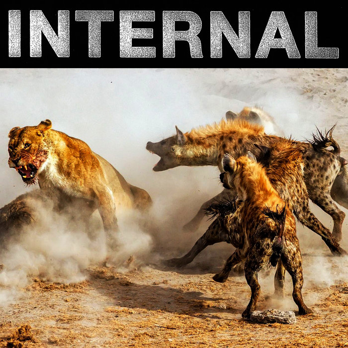 Primal State | Internal