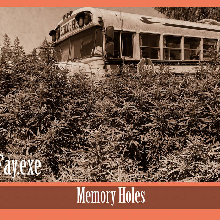 Memory Holes | LeFay.EXE