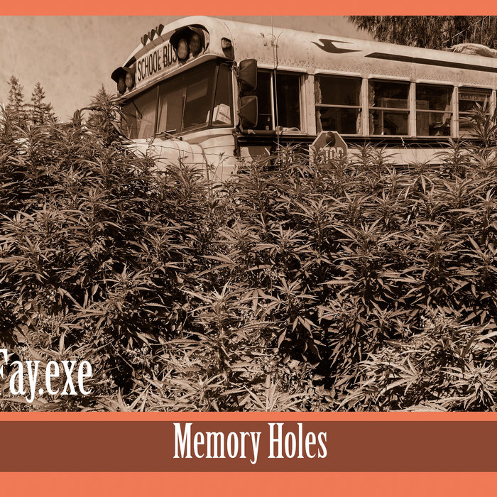 Memory Holes | LeFay.EXE