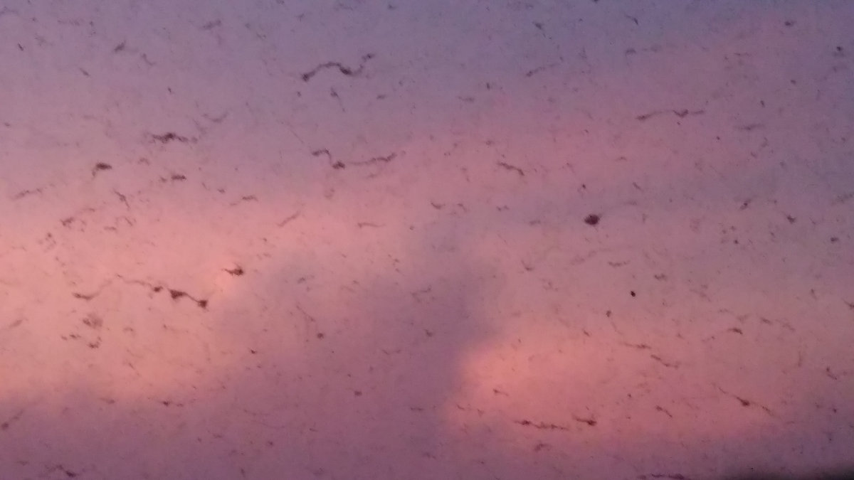 Pink Clouds | Norbert Haftek