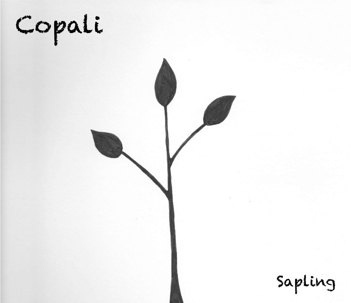 Sapling | Copali