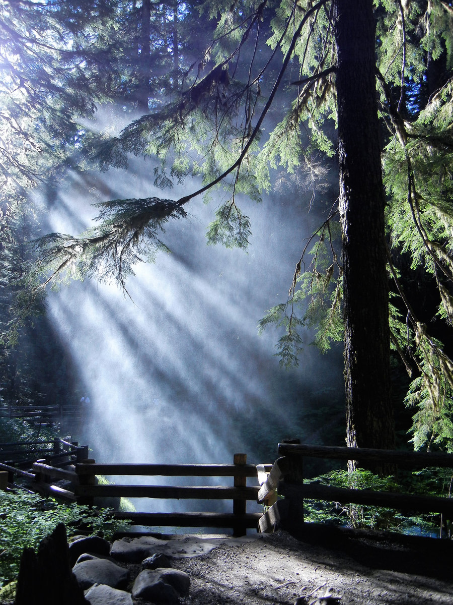 ENOUGH! - A Gun Sense PSA(:60) | Bob Wickline | Wickline Family and Friends