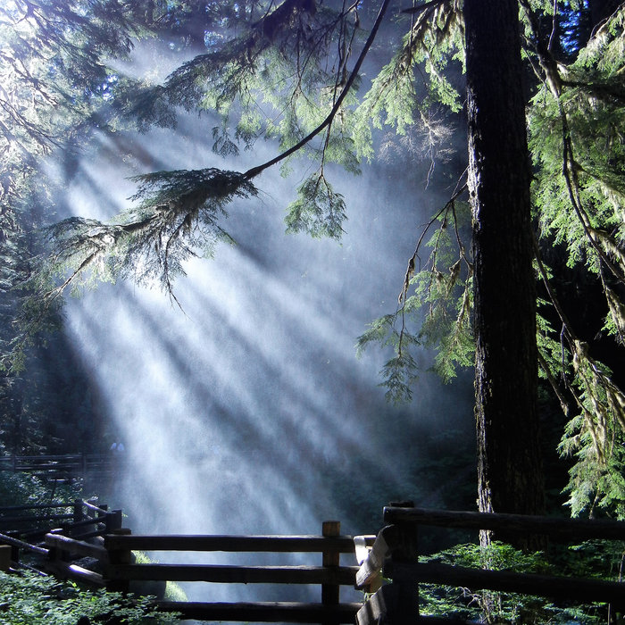 ENOUGH! - A Gun Sense PSA(:60) | Bob Wickline | Wickline Family and Friends