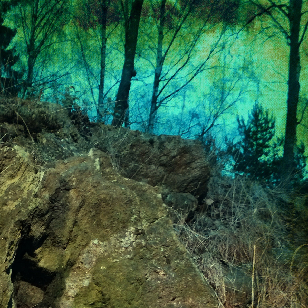 Twilight | Conny Olivetti