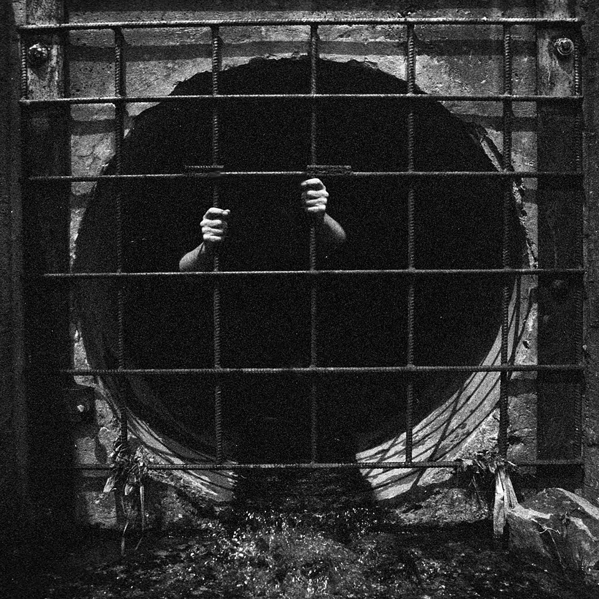 Cicada - The Lost Album | Ogres of the South Wall