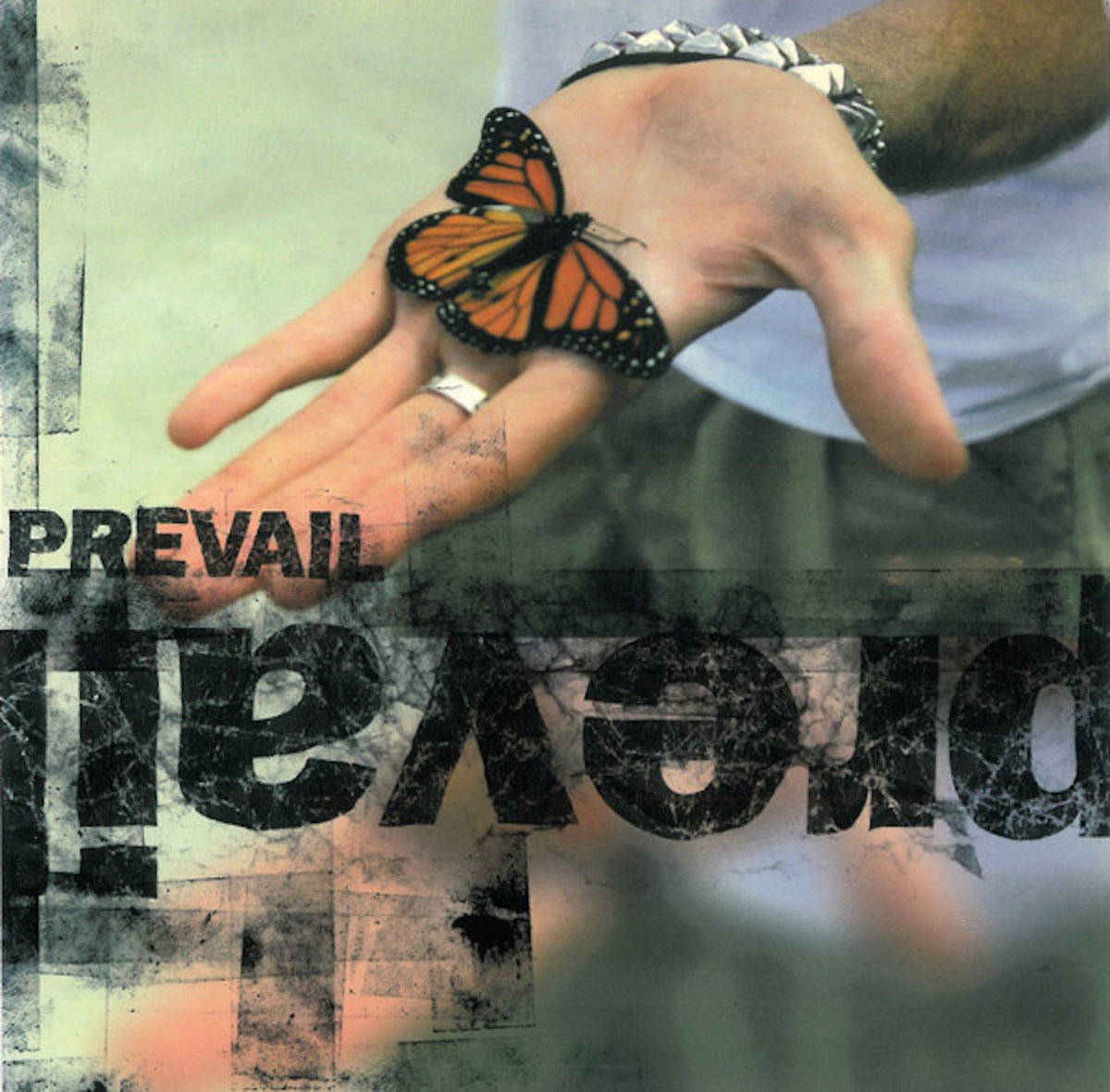 Prevail | Prevail