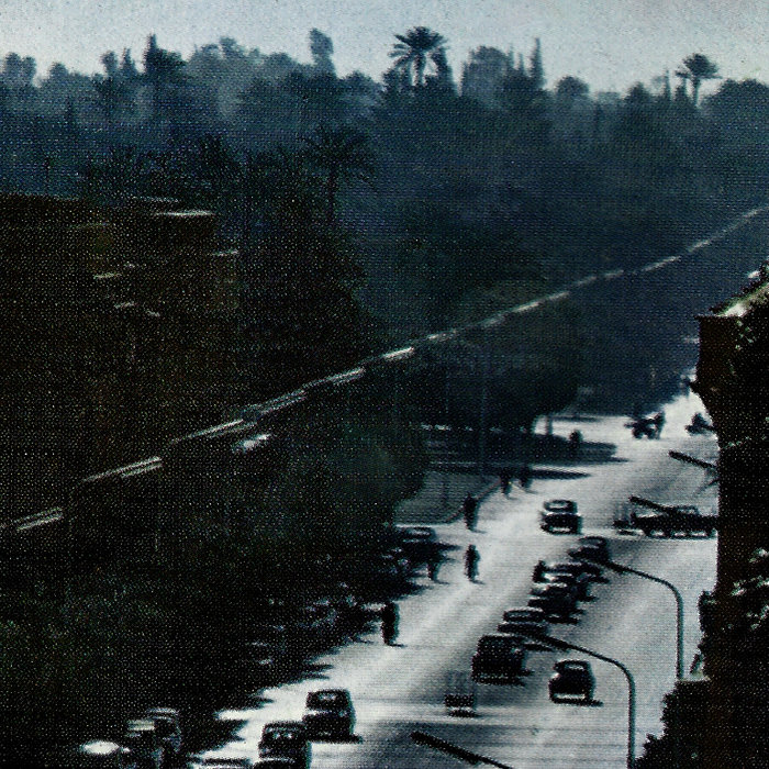 Voluntary Breed | Hamitic Myth