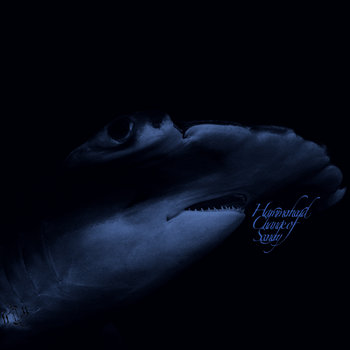 Hammerhead Change Of Scenery | Rainforest Spiritual Enslavement