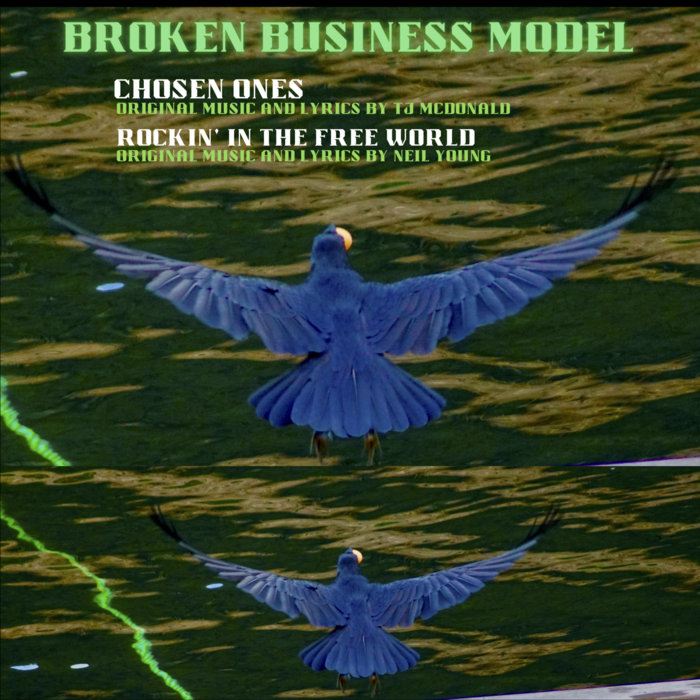 CHOSEN ONES | BROKEN BUSINESS MODEL | Broken Business Model