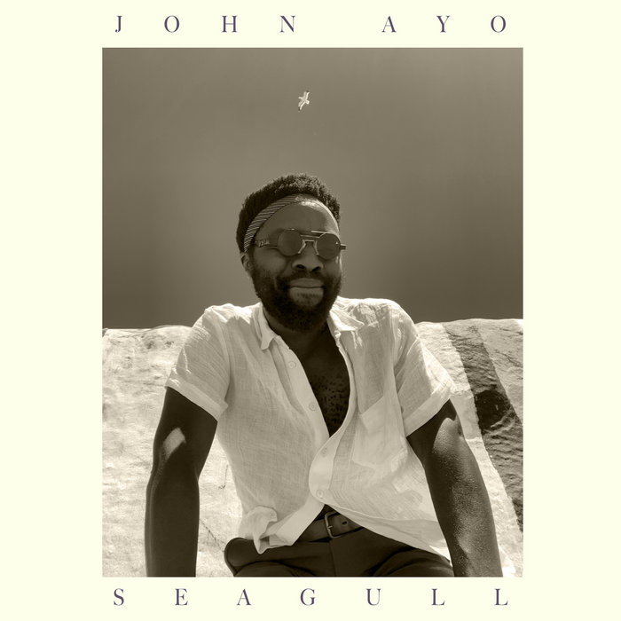 Seagull | John Ayo