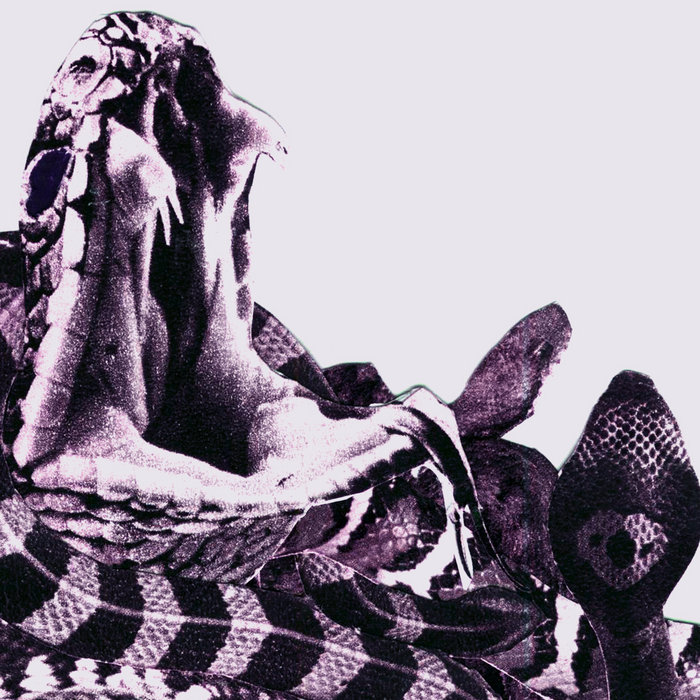 Curled Up | Bear Bones, Lay Low