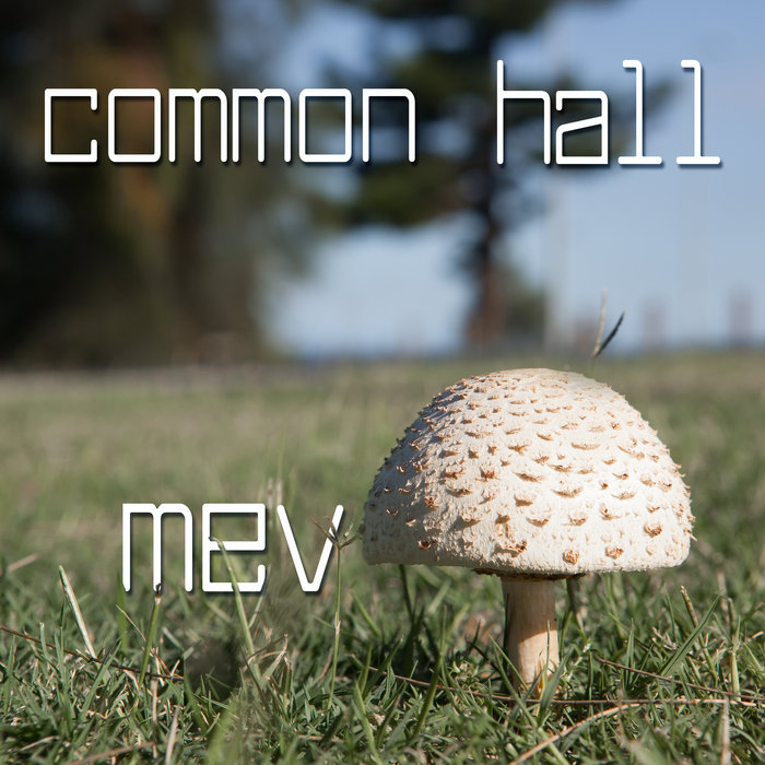 Common Hall | Mev