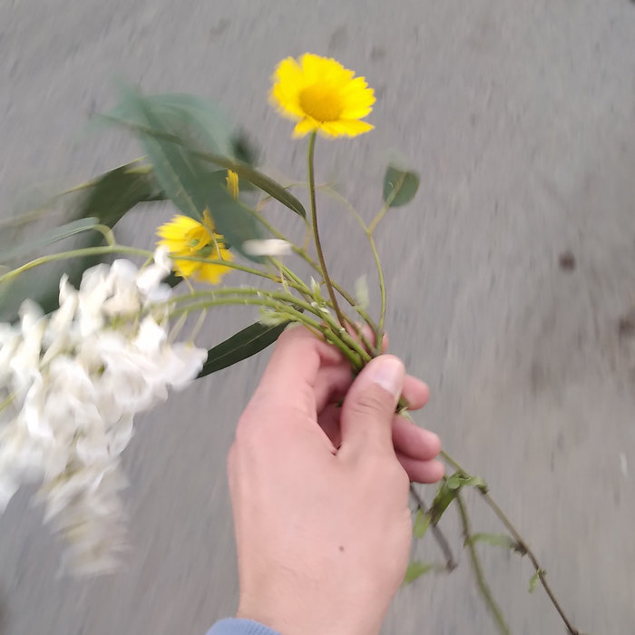 Milk flower | Milk Flower | Quasi Service
