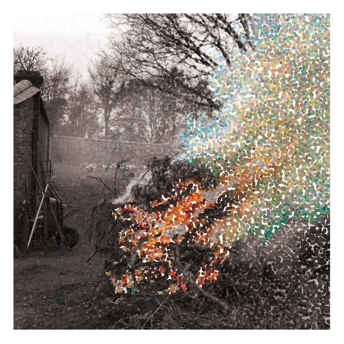 The Marks Brothers | The Marks Brothers