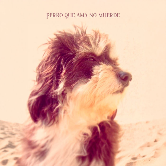 Mandale Mecha - Perro que ama no muerde | Mandale Mecha | raso.