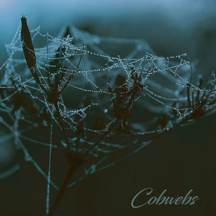 Cobwebs | Andrea Ramolo