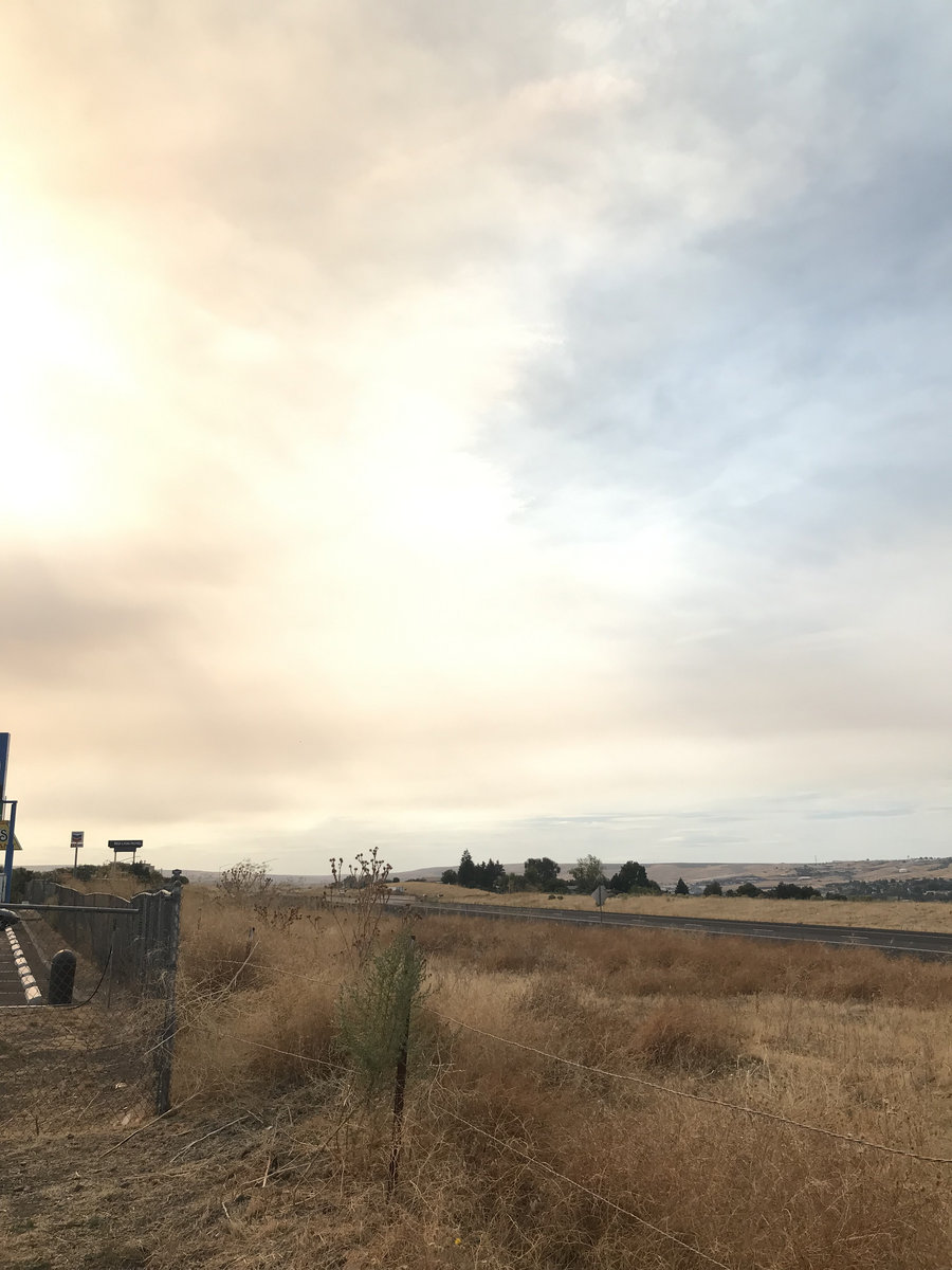 short stories | Kyle Farrell