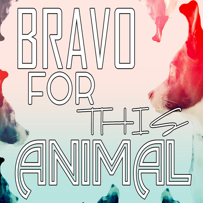 Bravo For This Animal (2019) | Bravo For This Animal