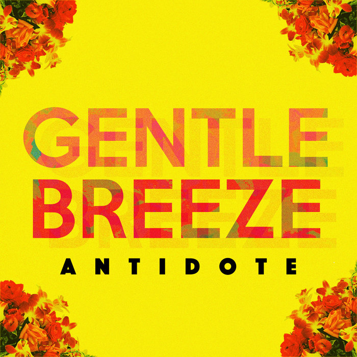 Gentle Breeze | Raymeer