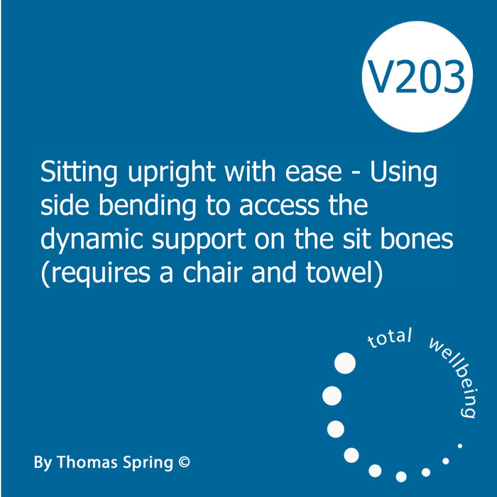 V203 Sitting upright with ease - Access the dynamic support on your sit ...