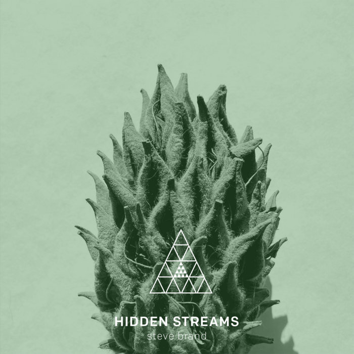 Hidden Streams | Steve Brand