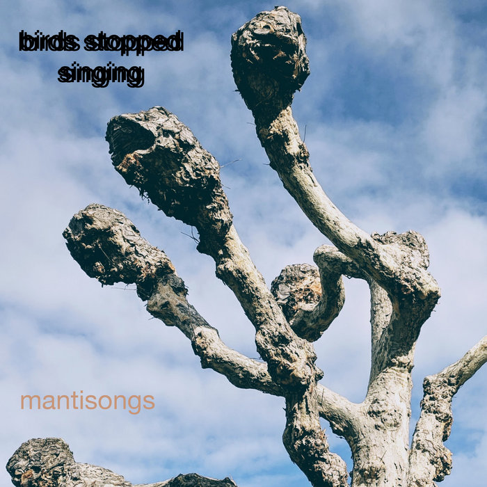 Anterior Forebrain Pathway (intro) | Mantisongs