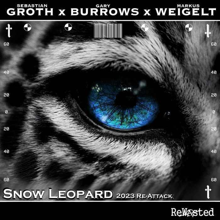 Snow Leopard (2023 Re-Attack) | Sebastian Groth, Gary Burrows, Markus ...