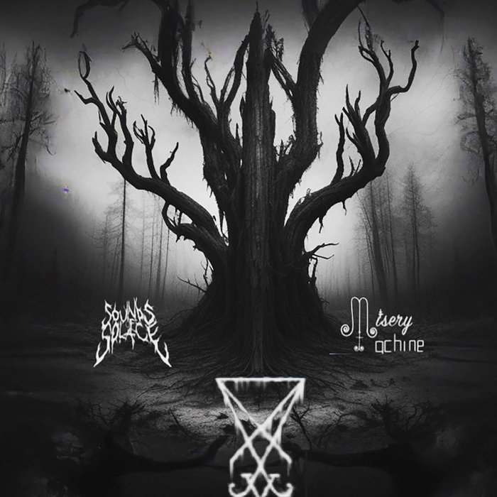 Misery Machine / Sounds of Solace | Picazio/ Misery Machine