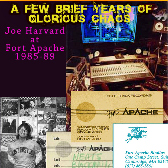 A Few Brief Years of Glorious Chaos, Vol 1 | Various artists w/ Joe ...