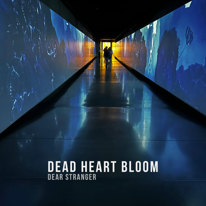 Dear Stranger (Single) | Dead Heart Bloom