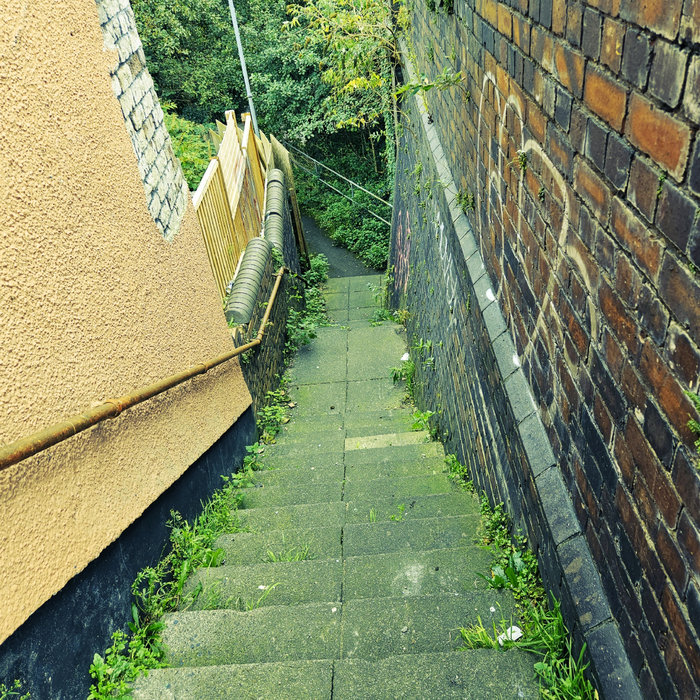 A Hidden Path | evergreen avenue