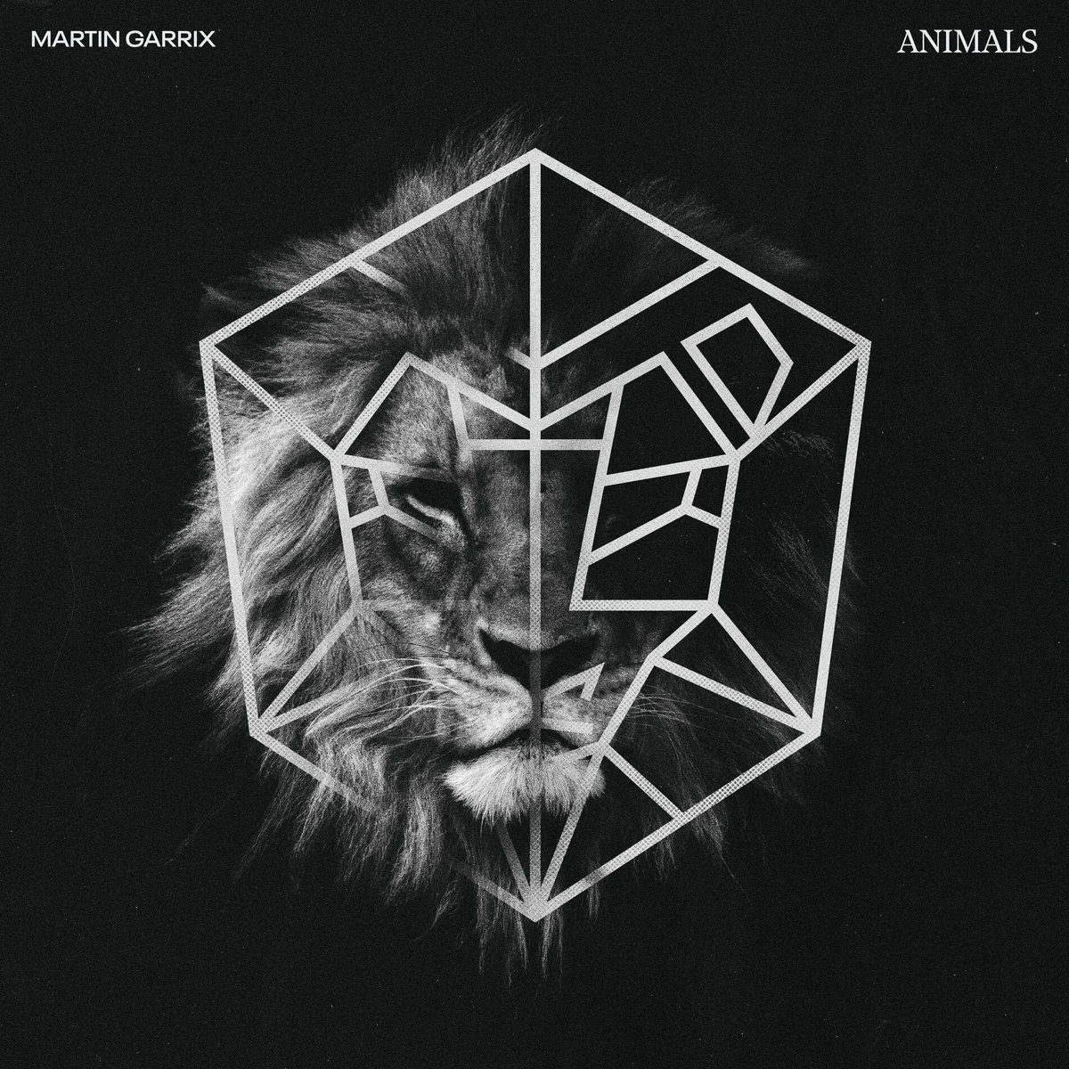 Martin Garrix - Animals (5HOURS "Dark ODD Frequency Grid" EDIT) | 5hours
